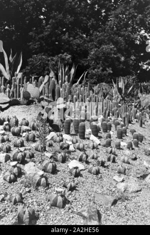 Ein Ausflug nach Liegnitz, Deutsches Reich 1930er Jahre. A trip to ...