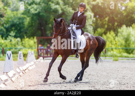 Young dressage lady rider on back of her German horse wearing riding ...