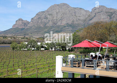 Vrede en lust wine estate hi res stock photography and images Alamy