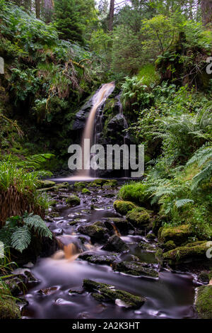 Hindhope Linn, Waterfall and trail Stock Photo - Alamy