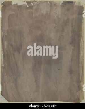 William Henry Fox Talbot Photogenic Drawing of a Plant Stock Photo - Alamy