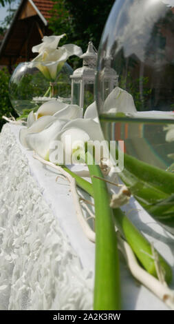 Beautiful table setting with white calla lily on dark color background ...