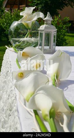 Beautiful table setting with calla lily and glass on light background ...