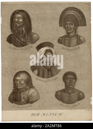 Homo sapiens, Print, Homo sapiens is the only extant human species. The ...