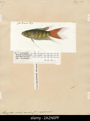 In the Chinese labyrinth Stock Photo - Alamy