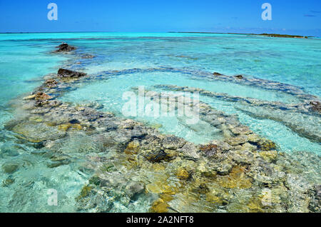 Ancient traditional fish trap designed to catch bonefish (Albula vulpes ...