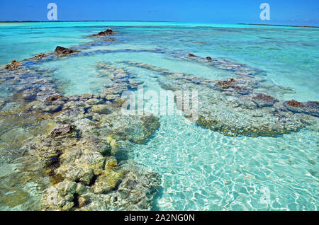 Ancient traditional fish trap designed to catch bonefish (Albula vulpes ...
