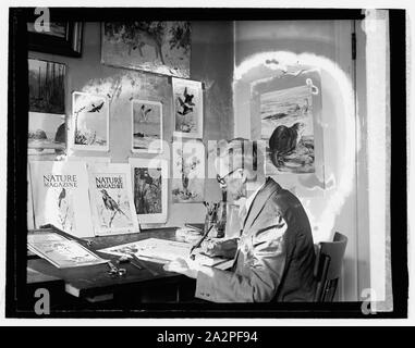 R. Bruce Horsfall, Artist of Nature magazine, 3/16/26 Stock Photo - Alamy