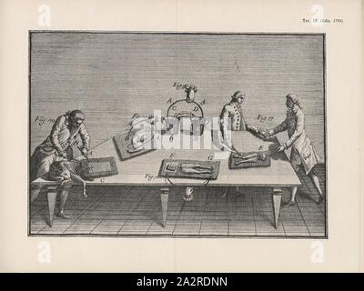 Experiments with Frog legs 1, Experiments with Frog Legs by Luigi ...