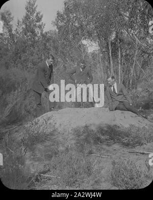 Lantern Slide - Mallee Hen's Mound, Australia, Date Unknown, Black and ...