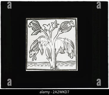 Reproduction of print showing ''Lamb Tree'' Stock Photo - Alamy
