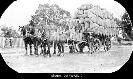 Negative - George & Charlie Gillett With Team of Horses & Wagon Load of ...