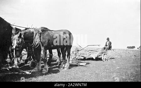 A man ploughing a field with a horse drawn plough in England circa 1948 ...