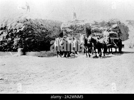 BUILDING A HAYSTACK Stock Photo - Alamy