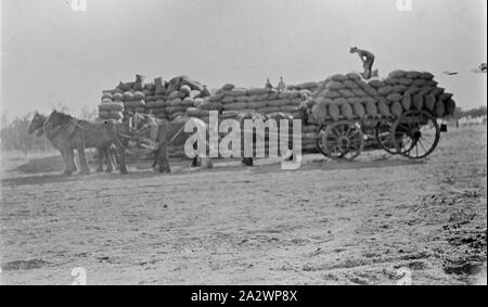Negative - Berriwillock, Victoria, circa 1920, Man standing in door of ...