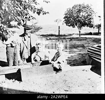 Negative - Isisford District, Queensland, circa 1915, Sheep in yards at ...