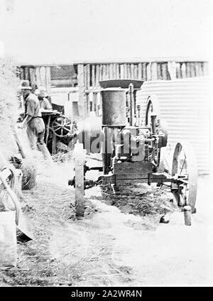 Negative - Cocamba, Victoria, circa 1915, Two men work with a haystack ...