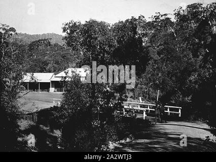 The Cobungra River at Anglers Rest Stock Photo - Alamy