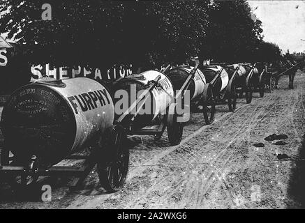 Negative - Shepparton, Victoria, circa 1905, A furphy water cart ...
