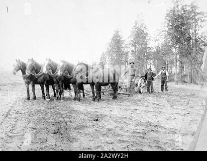 Negative - Hopetoun District, Victoria, circa 1895, Charlie Poulton and ...