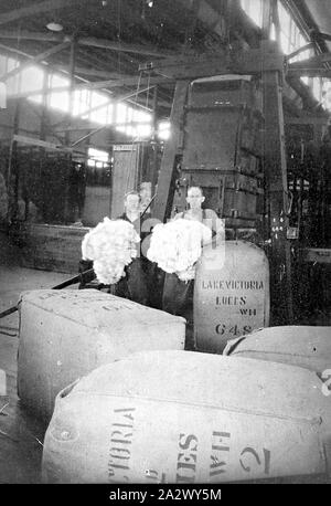 Negative - Lake Victoria, New South Wales, circa 1910, A man with a ...