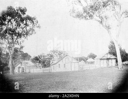 Negative - 'Warrock' Station, Casterton District, Victoria, circa 1900 ...