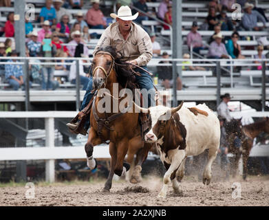 Rodeo action at the Cheyenne Frontier Days celebration in Wyoming's ...
