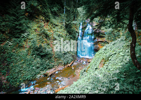 Park of waterfalls Mendeliha. Forest river and waterfall. Sochi. Rosa ...