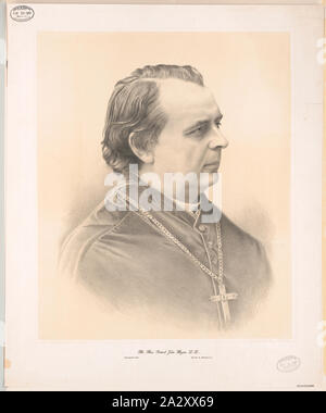 Rt. Rev. Patrick John Ryan, D.D LCCN2003677974 Stock Photo - Alamy
