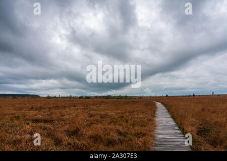 Panorama of the High Fens in autumn, Belgium Stock Photo - Alamy