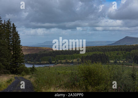 Banagher Glen, Dungiven, County Londonderry, Northern Ireland Stock ...