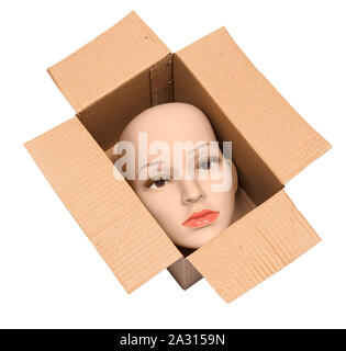 Horizontal shot of a bald woman mannequin head inside an open cardboard ...