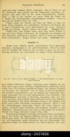 Ephemerida, Plecoptera, Lepidoptera (Page 91) BHL8222771 Stock Photo ...