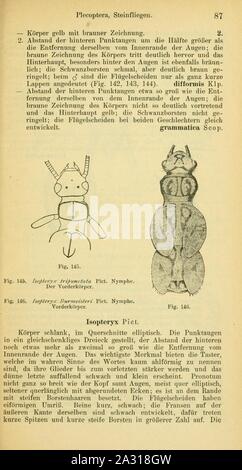 Ephemerida, Plecoptera, Lepidoptera (Page 87) BHL8222767 Stock Photo ...