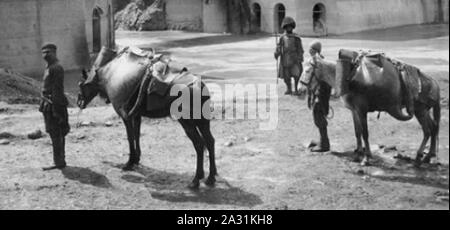 Ermakov. Tbilisi. 835190 D Stock Photo - Alamy