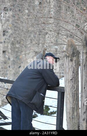 Squirrel play with a man at the Valentino Park in Turin Stock Photo - Alamy