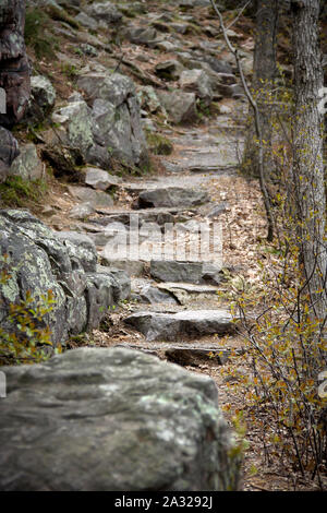 Autumn Forest Pathway with Stone Steps and Trees Ohio Eye Level View ...