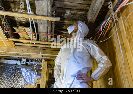 Building wall infected with fungus Stock Photo - Alamy
