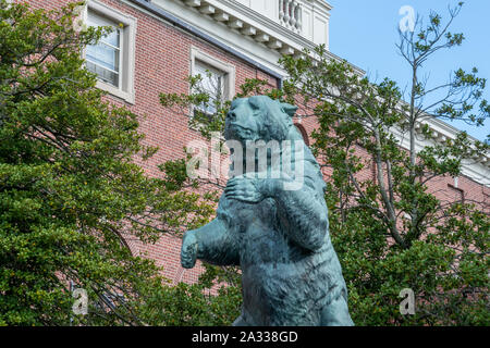 brown university mascot bruno bear statue Stock Photo - Alamy