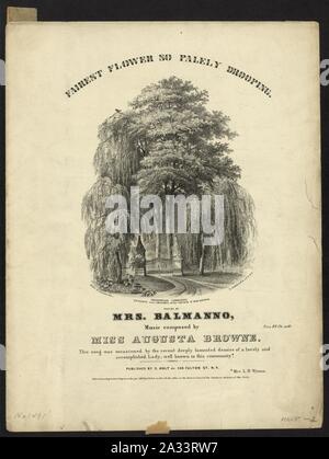 Fairest flower so palely drooping Stock Photo - Alamy