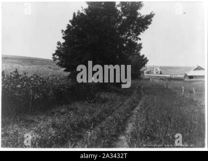 Farm near Arion, Boyer Valley, Iowa Abstract/medium: 1 photographic ...