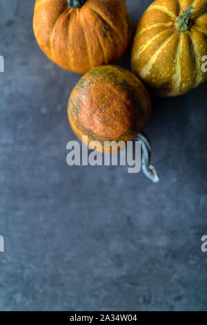 Happy Thanksgiving Banner. Selection of various pumpkins on dark wooden ...
