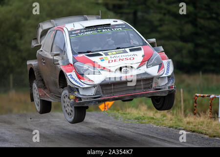 Sweet Lamb Hafren, Powys, UK. 5th Oct, 2019. WRC Wales Rally GB, Stage ...