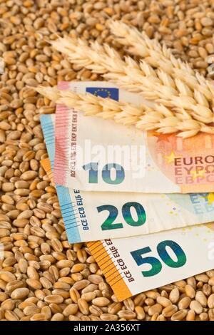 Euro banknotes with wheat ears on wicker tray in sunlight Stock Photo ...