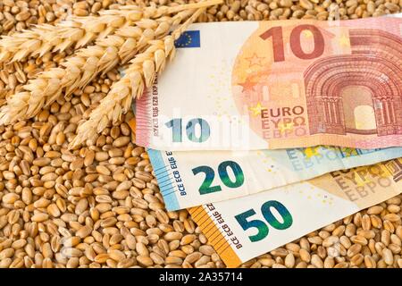 Euro banknotes with wheat ears on wicker tray in sunlight Stock Photo ...