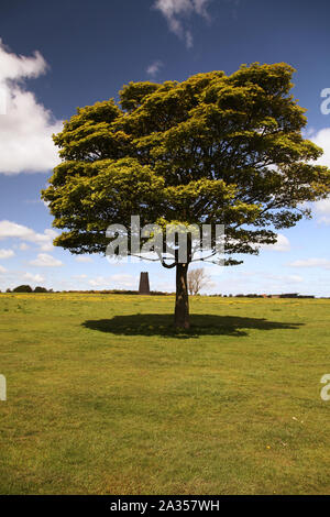 Black Mill, Beverley Westwood Yorkshire UK old brick windmill painted ...