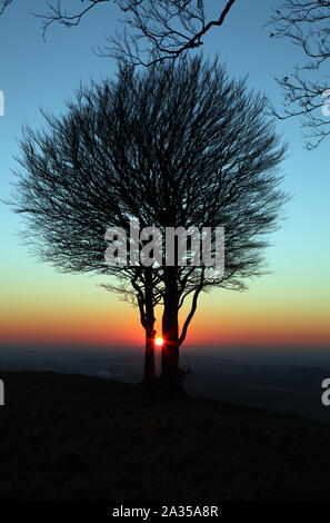 Leipzig Plantation Roundway Hill Devizes Wilthire Stock Photo - Alamy