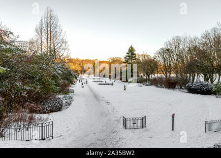 Central alley of Seaton park covered with snow in a nice sunny day ...