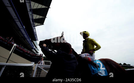 Jockey Andrea Atzeni after winning the Read Ryan Moore Columns On ...
