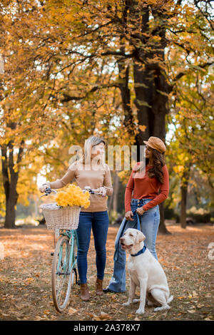 Two female friends walking their pet dogs off lead leash on a sunny ...
